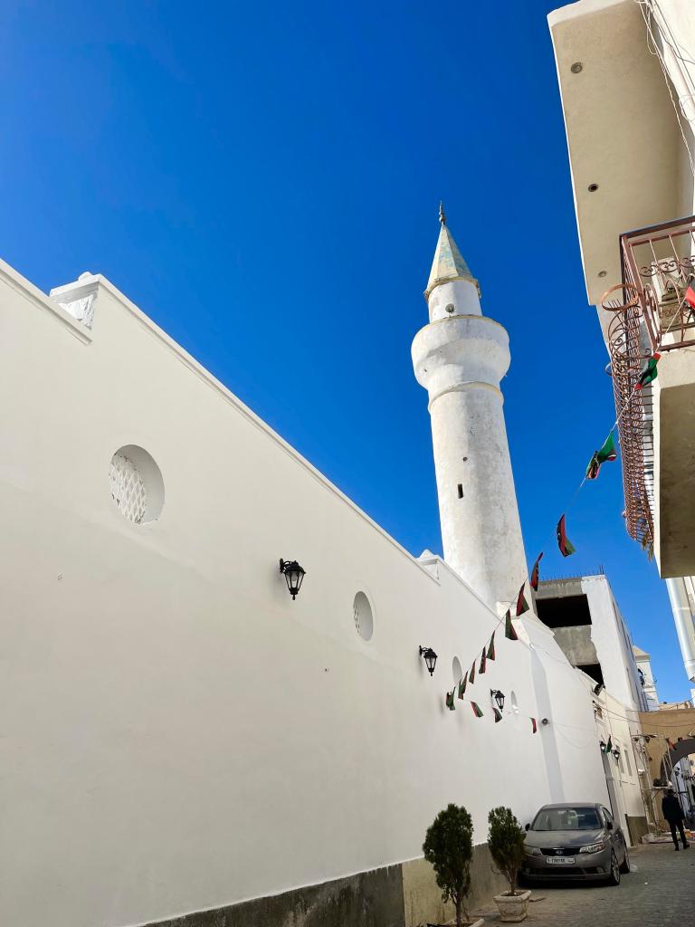 Lujain Beruwien - SGSAH Research